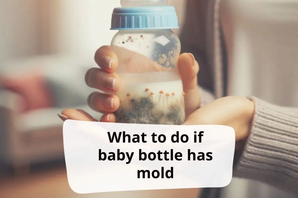 What To Do If Baby Bottle Has Mold - (5 Tips) & Fix The Problem