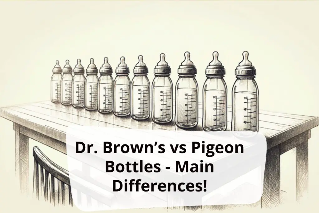 Dr. Brown’s Vs Pigeon - Main Differences Explained
